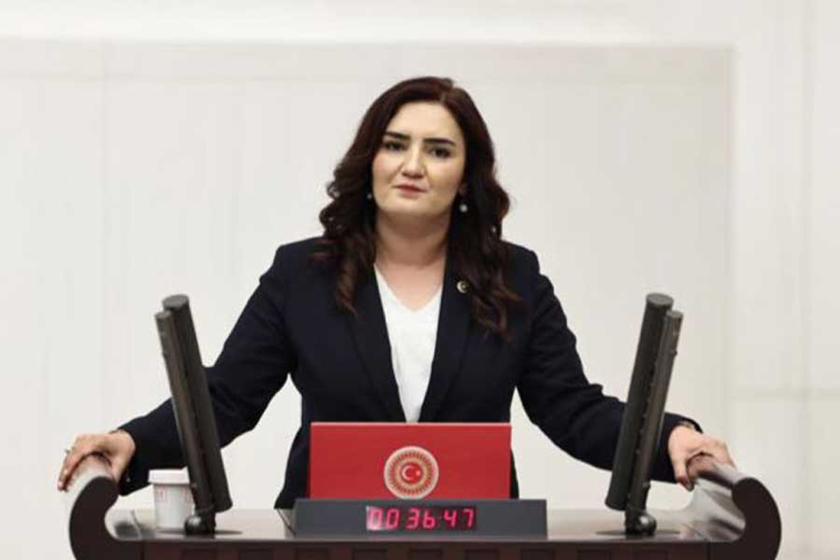 CHP İzmir Milletvekili Sevda Erdan Kılıç kimdir? Hangi görevlerde ...
